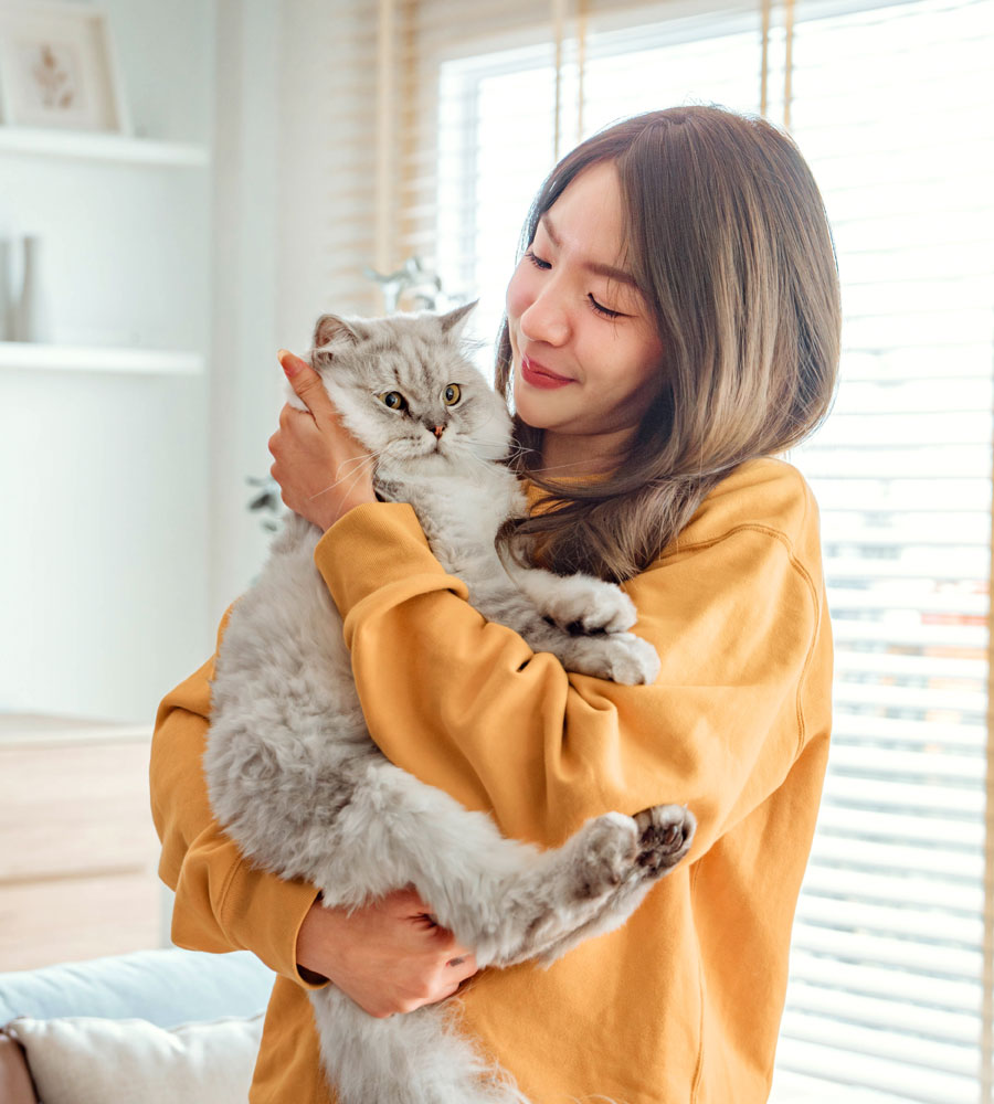 Home | Vet in Telford | Town & Country Animal Hospital